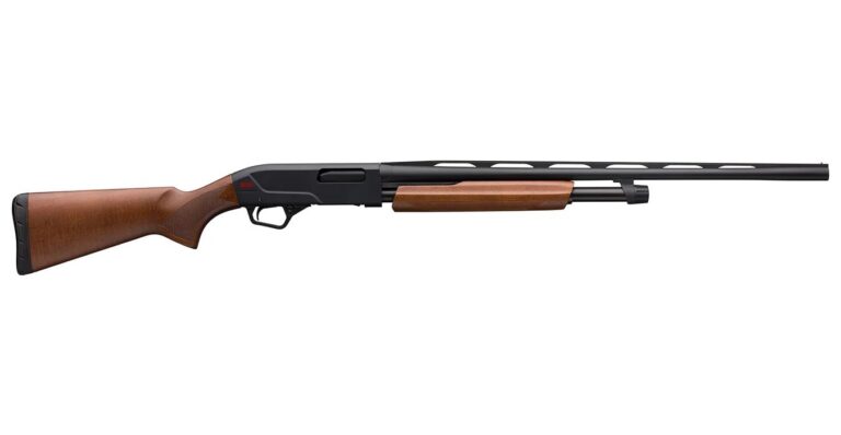 Winchester SXP Field 12 Gauge Pump-Action Shotgun with Hardwood Stock ...